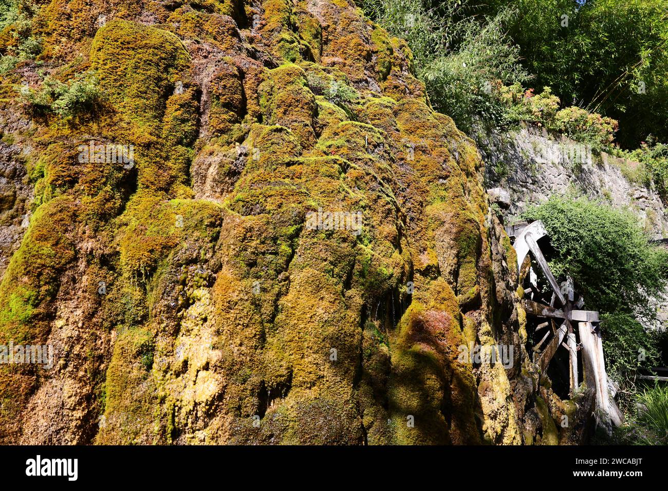 The garden of petrifying fountains is a private park with an area of ...