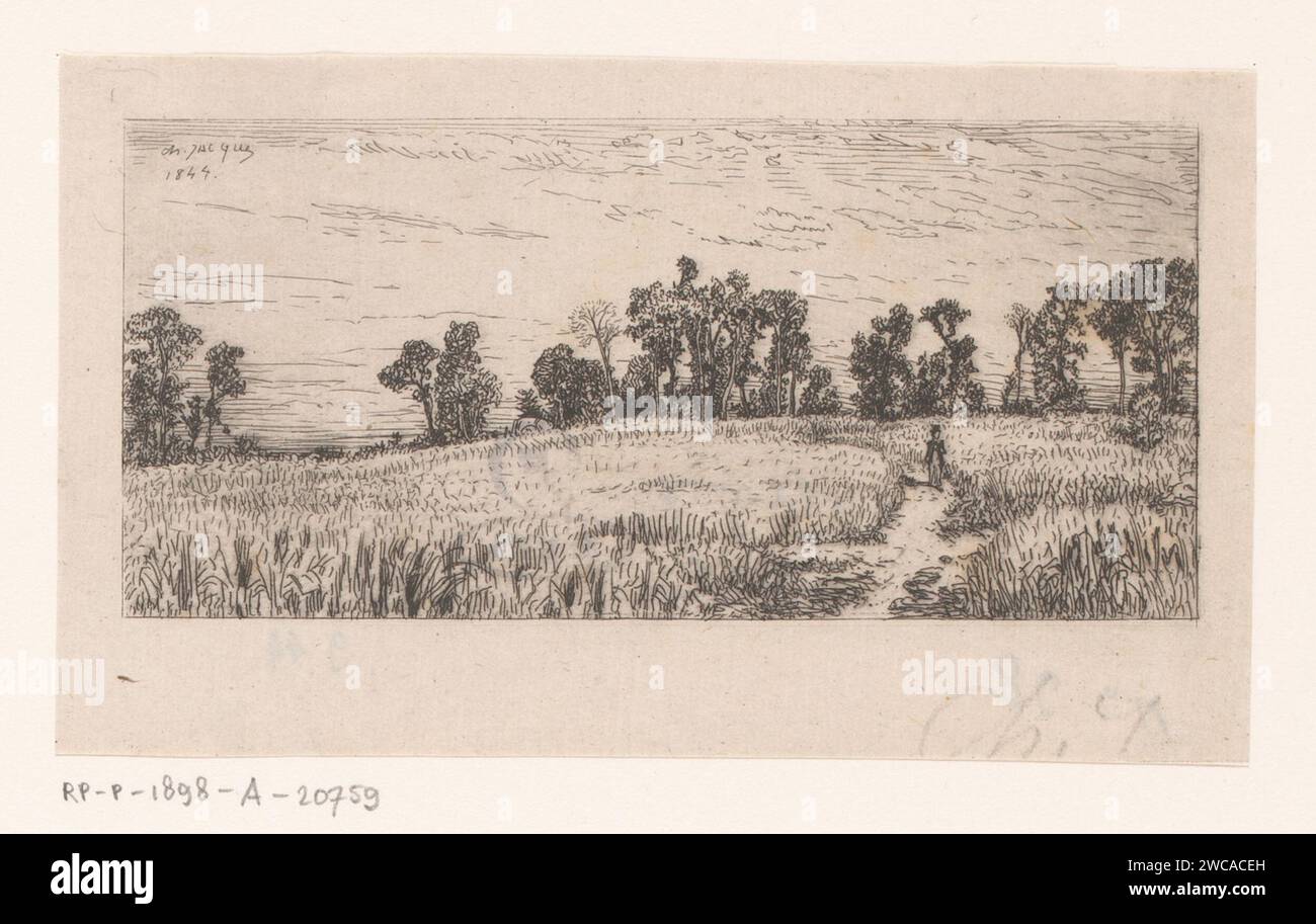 Korenveld with a figure on a path, Charles Emile Jacque, 1844 print ...
