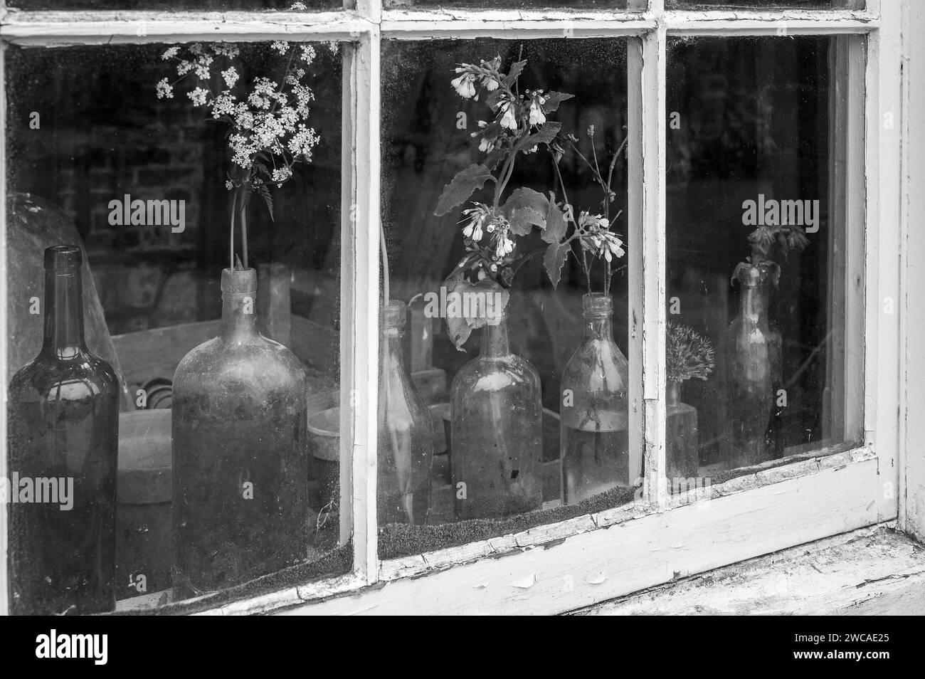 Vases in window Black and White Stock Photos & Images - Alamy