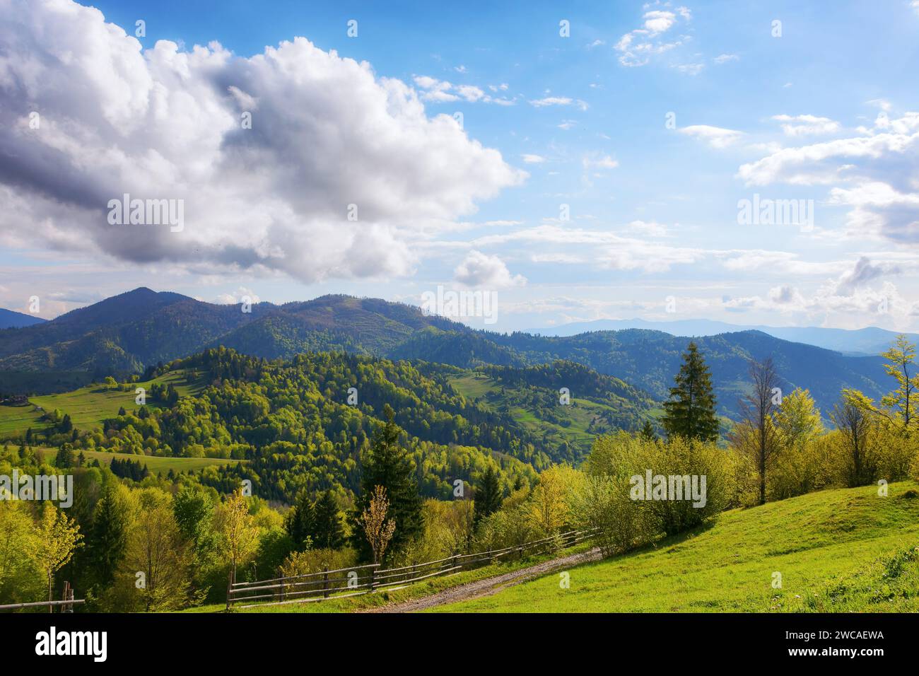 stunning rural landscape of carpathian mountains in evening light ...