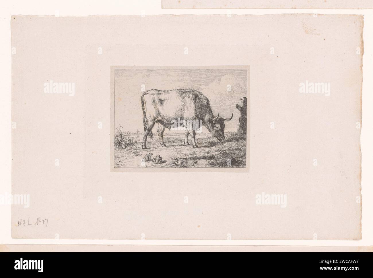 Fable of the frog who wanted to be as big as a cow, Eugène ...