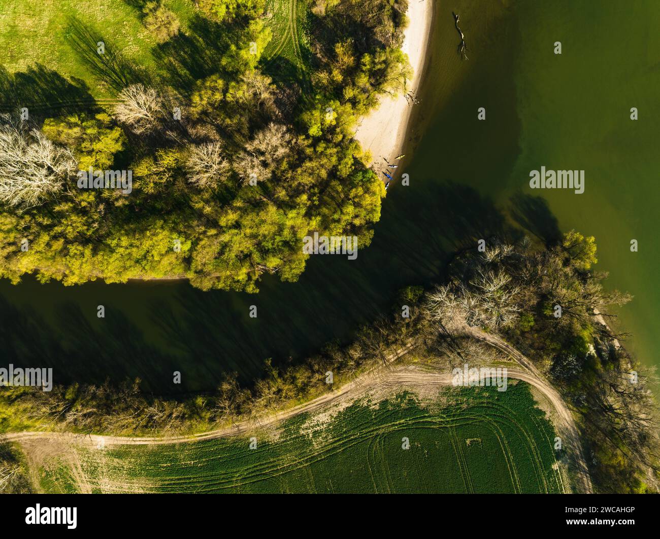 Top view of river delta with lake shore, surrounded by forest with sand ...