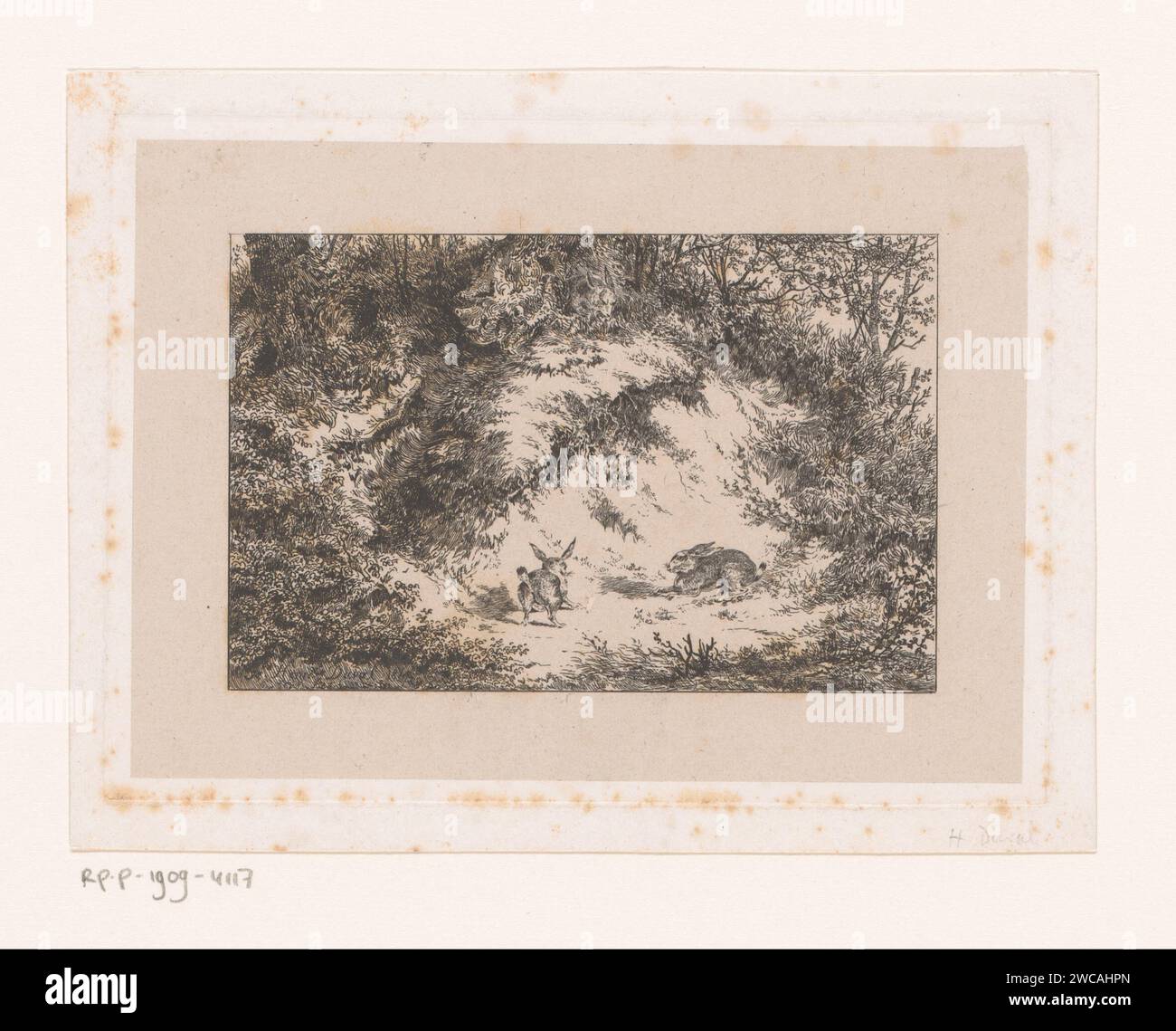 Rabbits at a dune with vegetation, Henri Philippe Adolphe Duval, 1847 ...