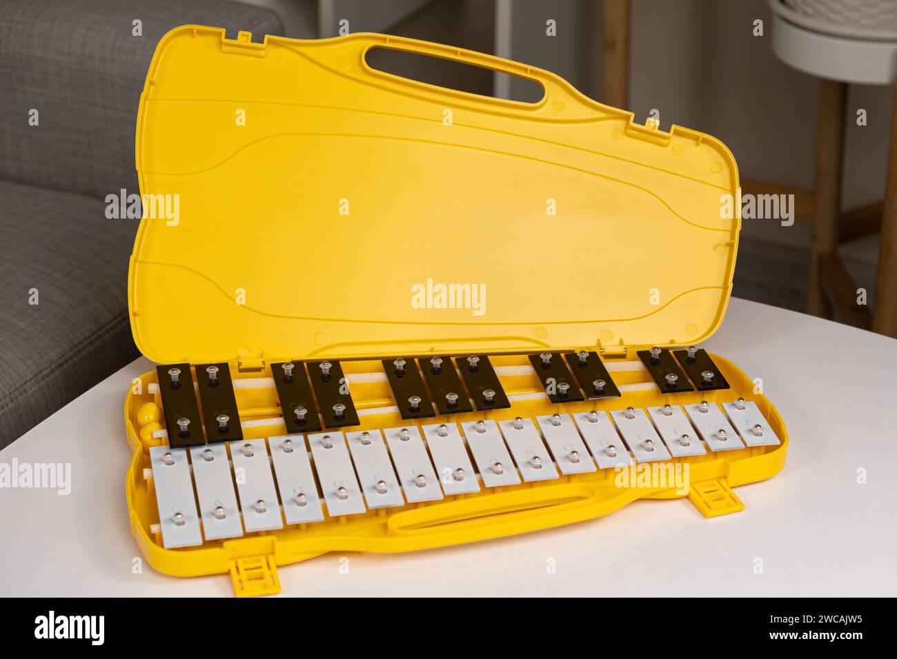 Metallophone, Metal Xylophone, Percussion Musical Instrument Stock ...