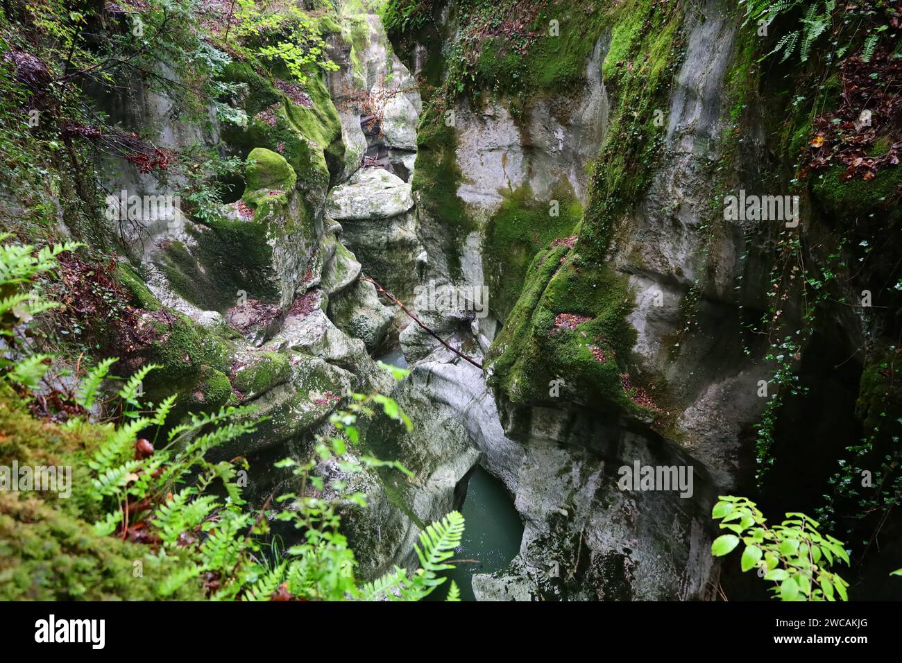 The Fier gorges are a remarkable natural curiosity of France, in Haute ...