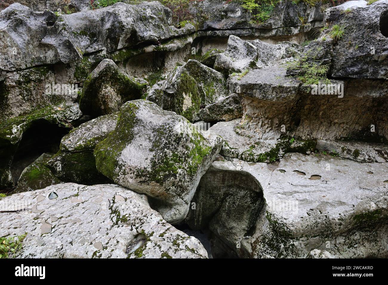 The Fier gorges are a remarkable natural curiosity of France, in Haute ...
