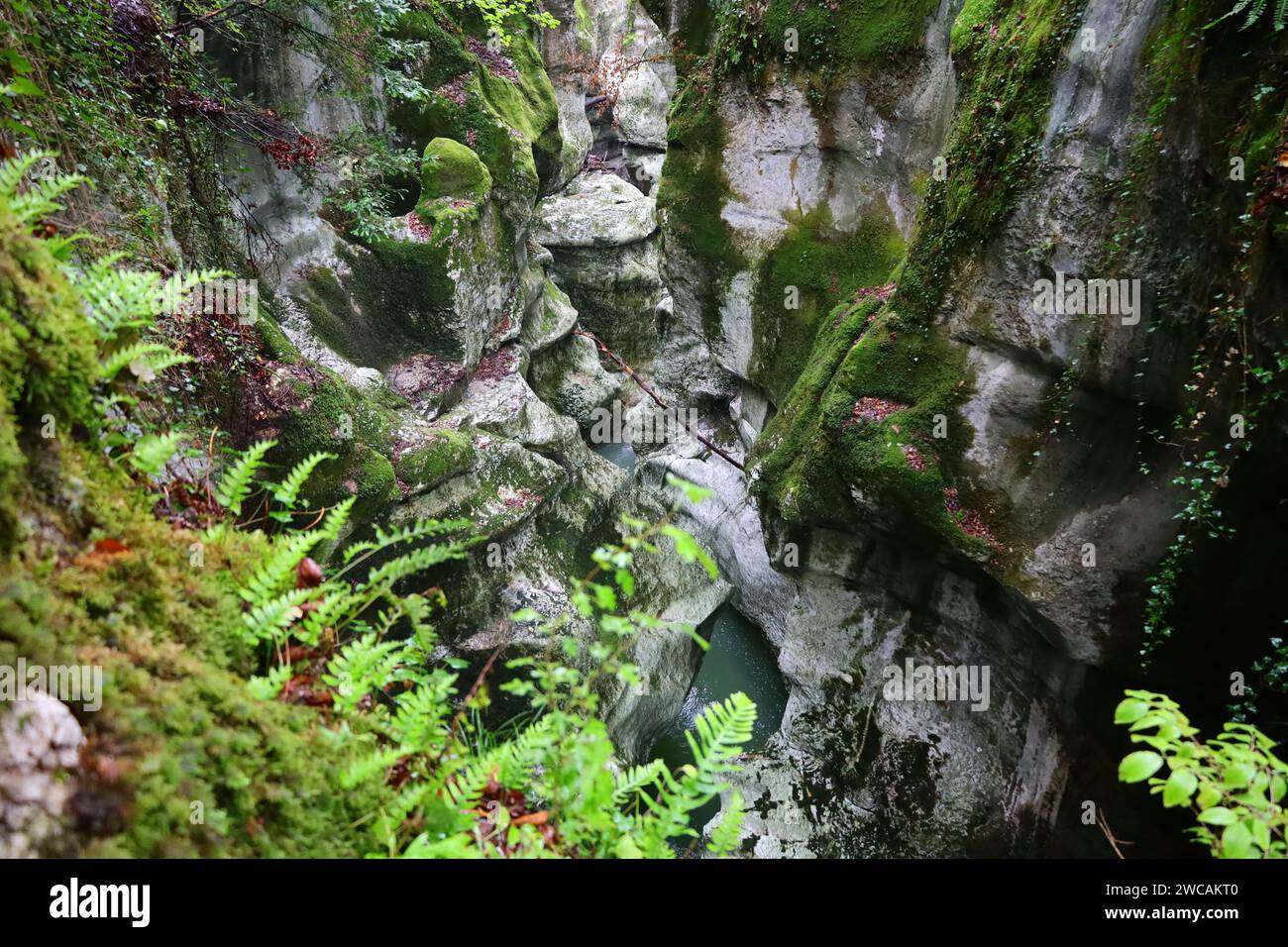The Fier gorges are a remarkable natural curiosity of France, in Haute ...