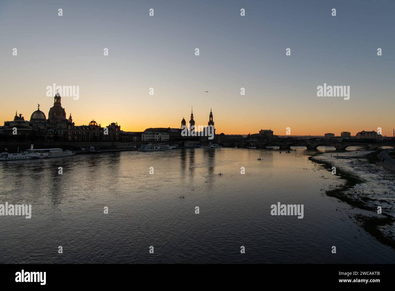 2024 dresden saxony hi-res stock photography and images - Alamy