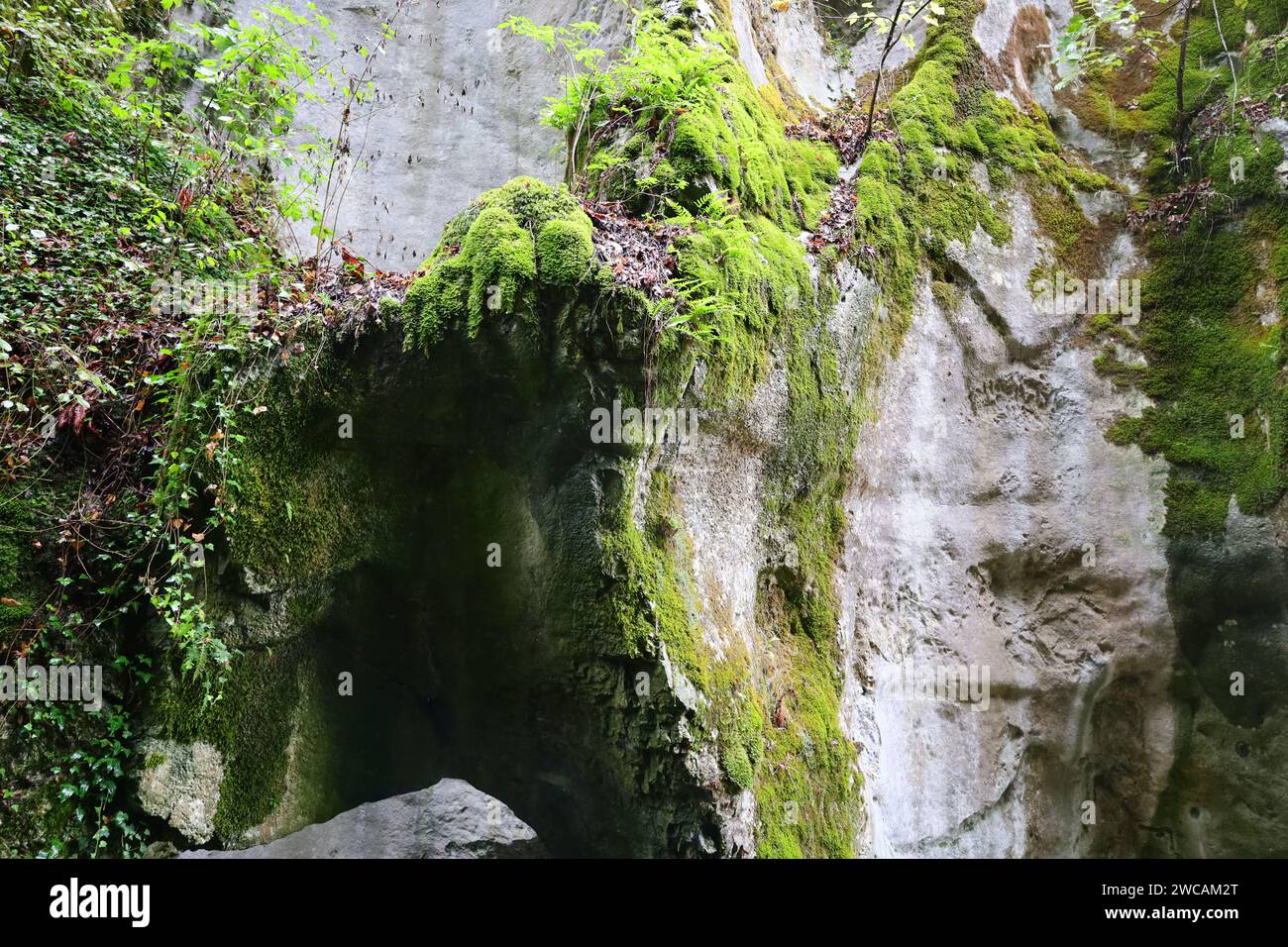 The Fier gorges are a remarkable natural curiosity of France, in Haute ...