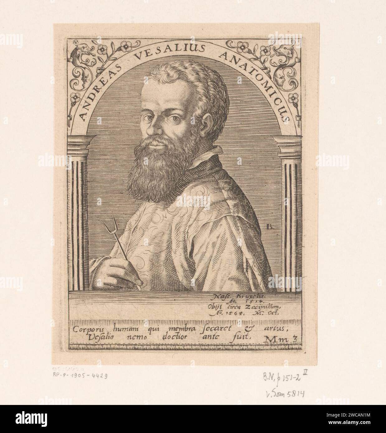 Portrait of Andreas Vesalius, Robert Boissard, 1597 - 1599 print ...