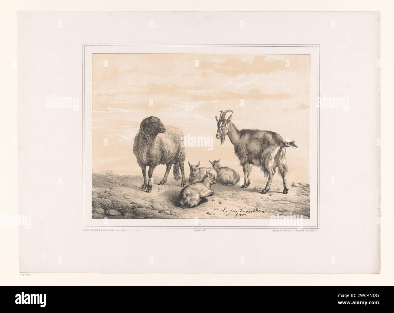 Sheep, goat and three young goats, Eugène Verboeckhoven, 1844 print ...