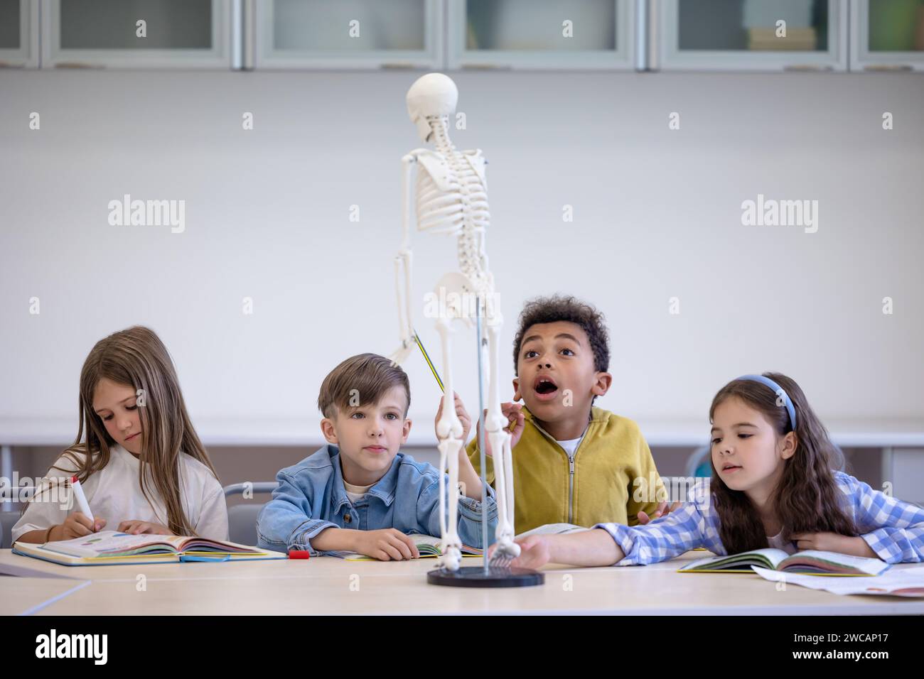Excited children studying human skeleton in classroom at school Stock ...