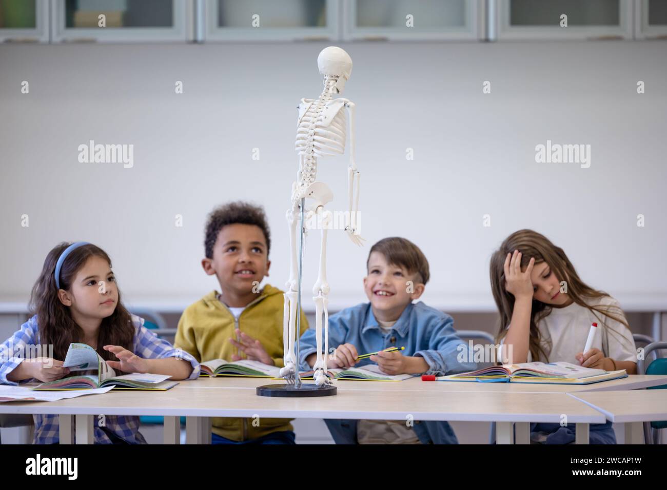 Children examining human skeleton during biology lesson in classroom at ...