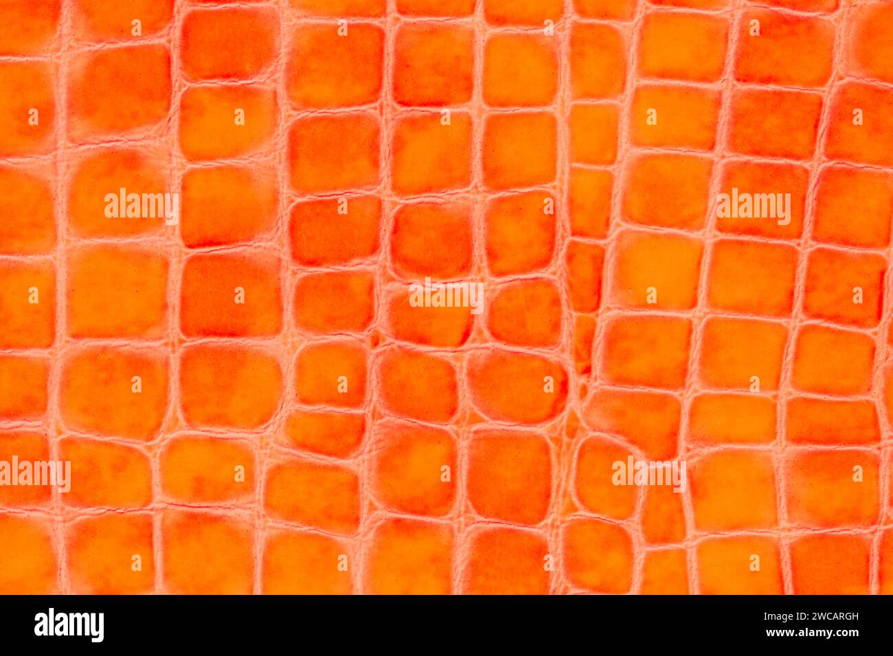 Texture of genuine patent leather close-up, golden color, skin reptile ...