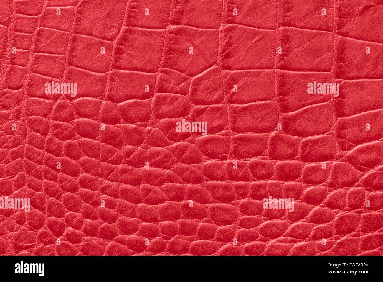 Genuine leather texture background, crocodile skin print Stock Photo ...