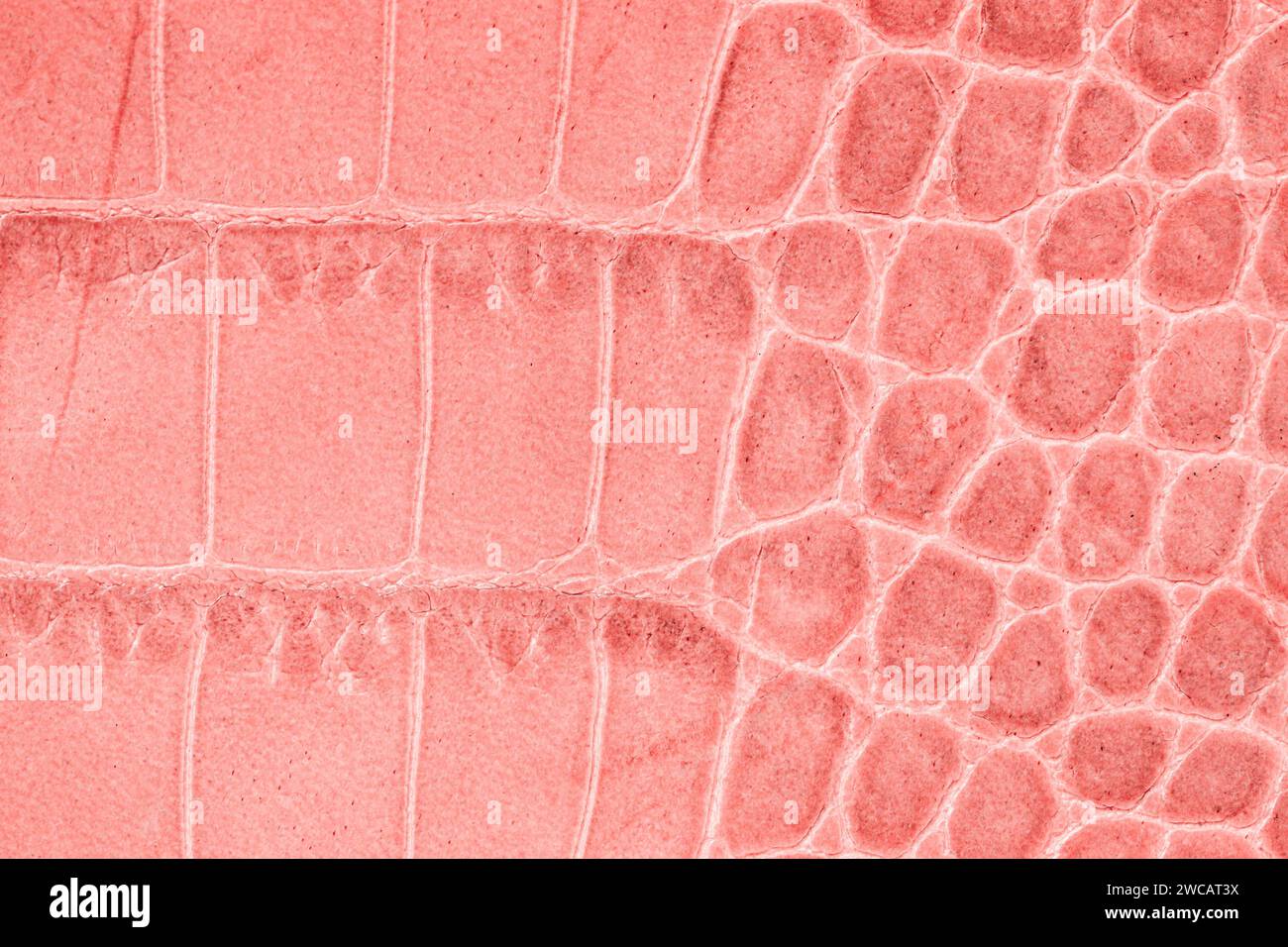 Genuine leather texture with imitation of exotic reptile with pink ...