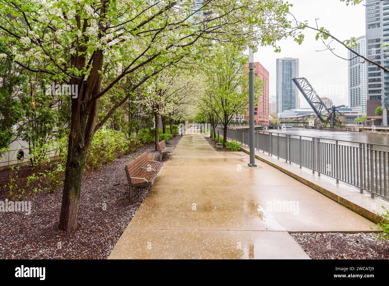 Deserted tree lined footpath along a river in a downtown district on a ...