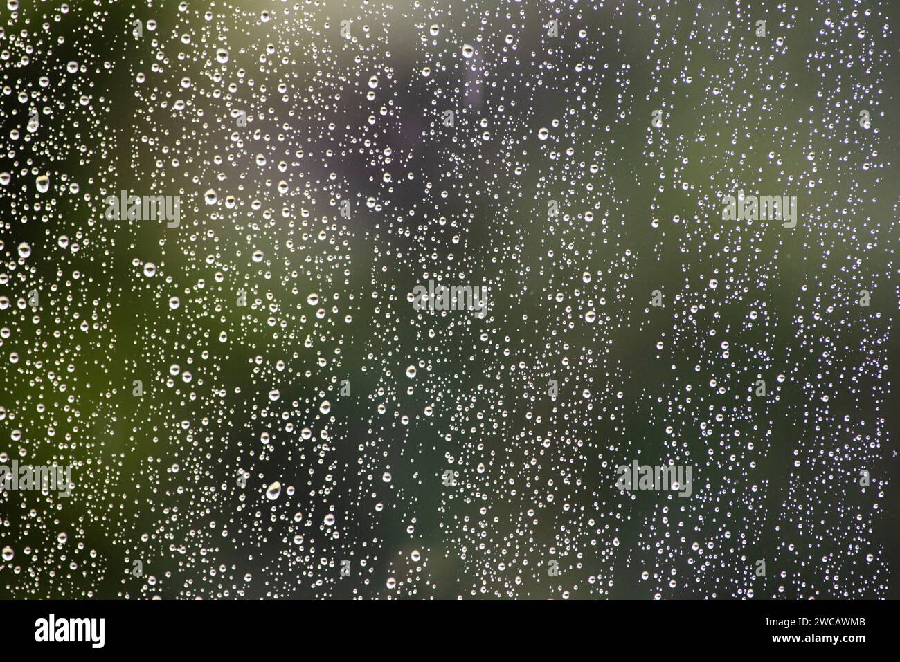 Raindrops on the glass. Texture of raindrops on glass Stock Photo - Alamy