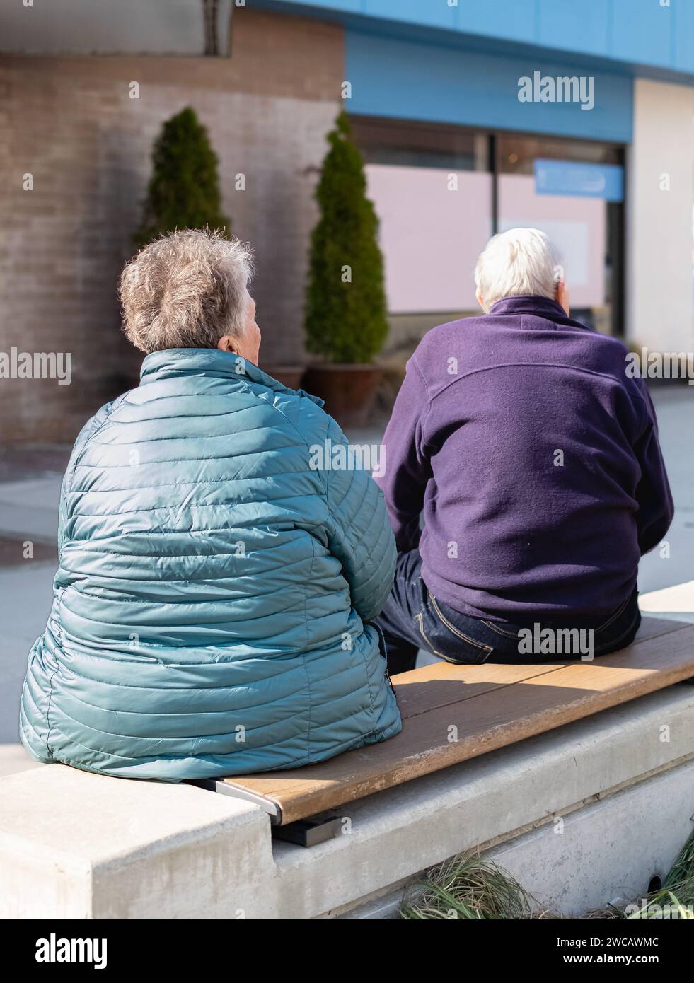 Rear view of a senior couple sitting on a park bench. Elderly man and ...