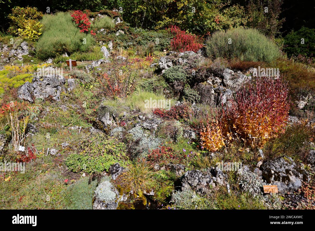 The Flore-Alpe Alpine Botanical Garden is a botanical garden located in ...
