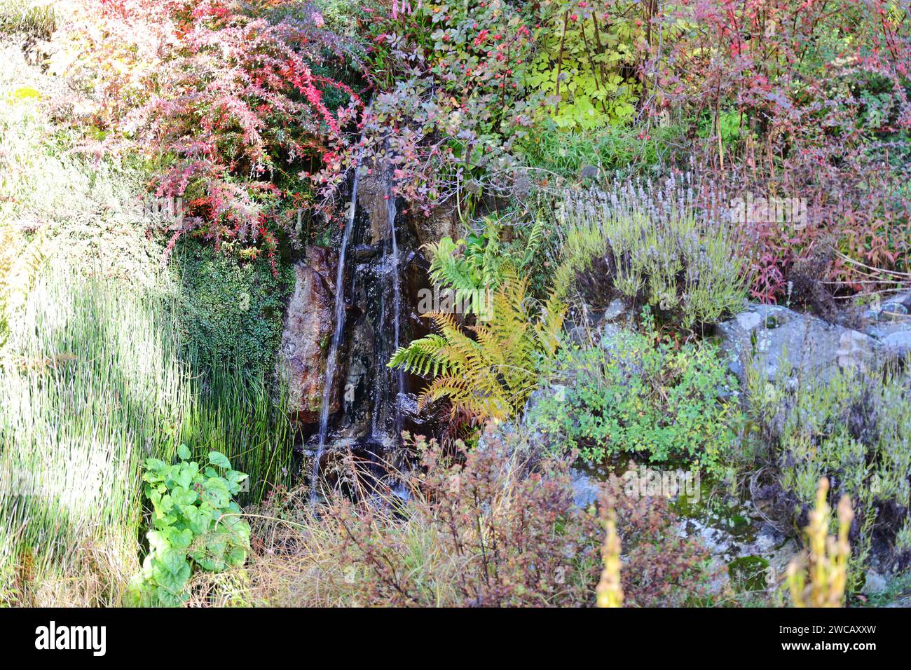 The Flore-Alpe Alpine Botanical Garden is a botanical garden located in ...