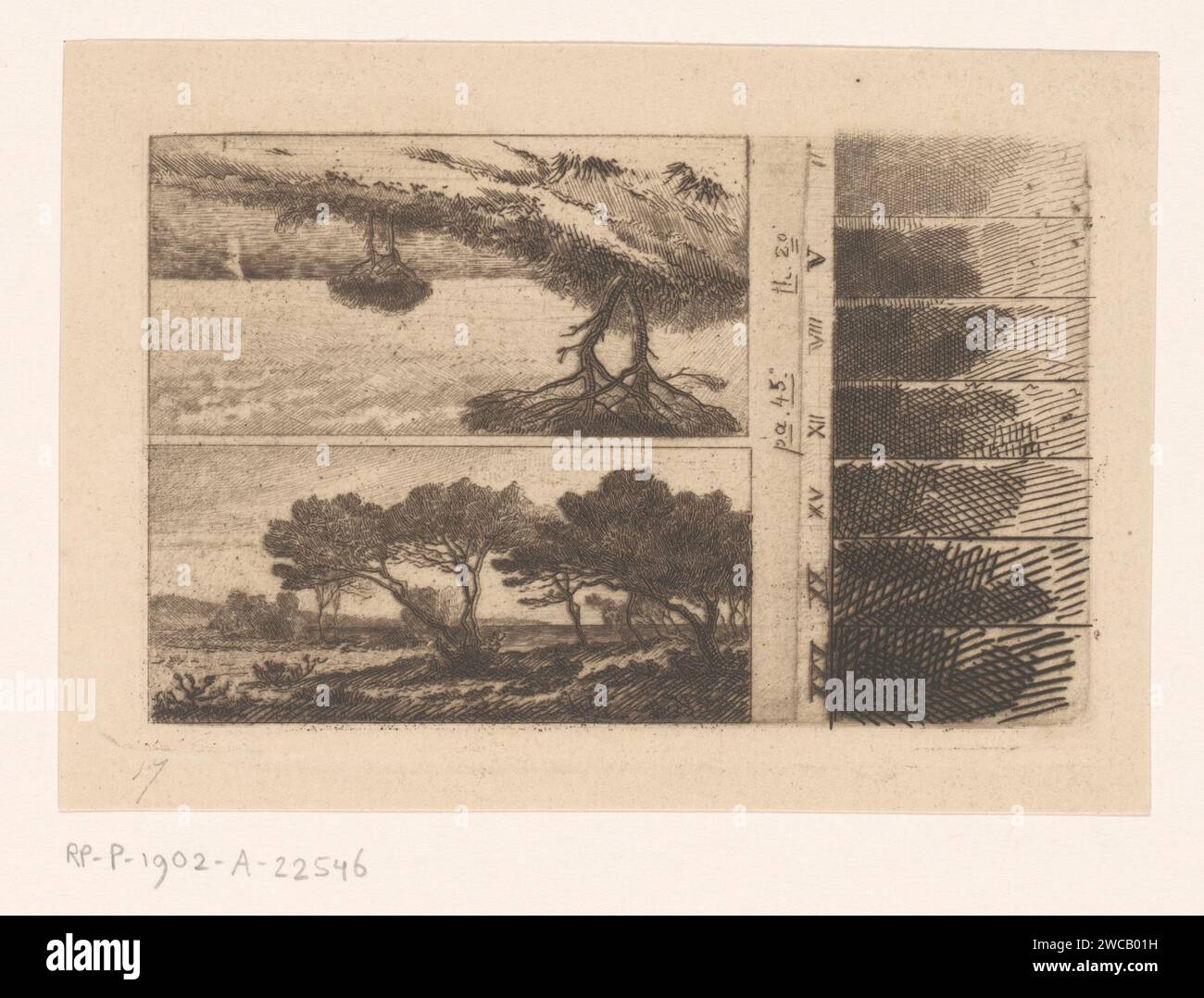 Two performances of pine trees on the coast and seven etching tests ...