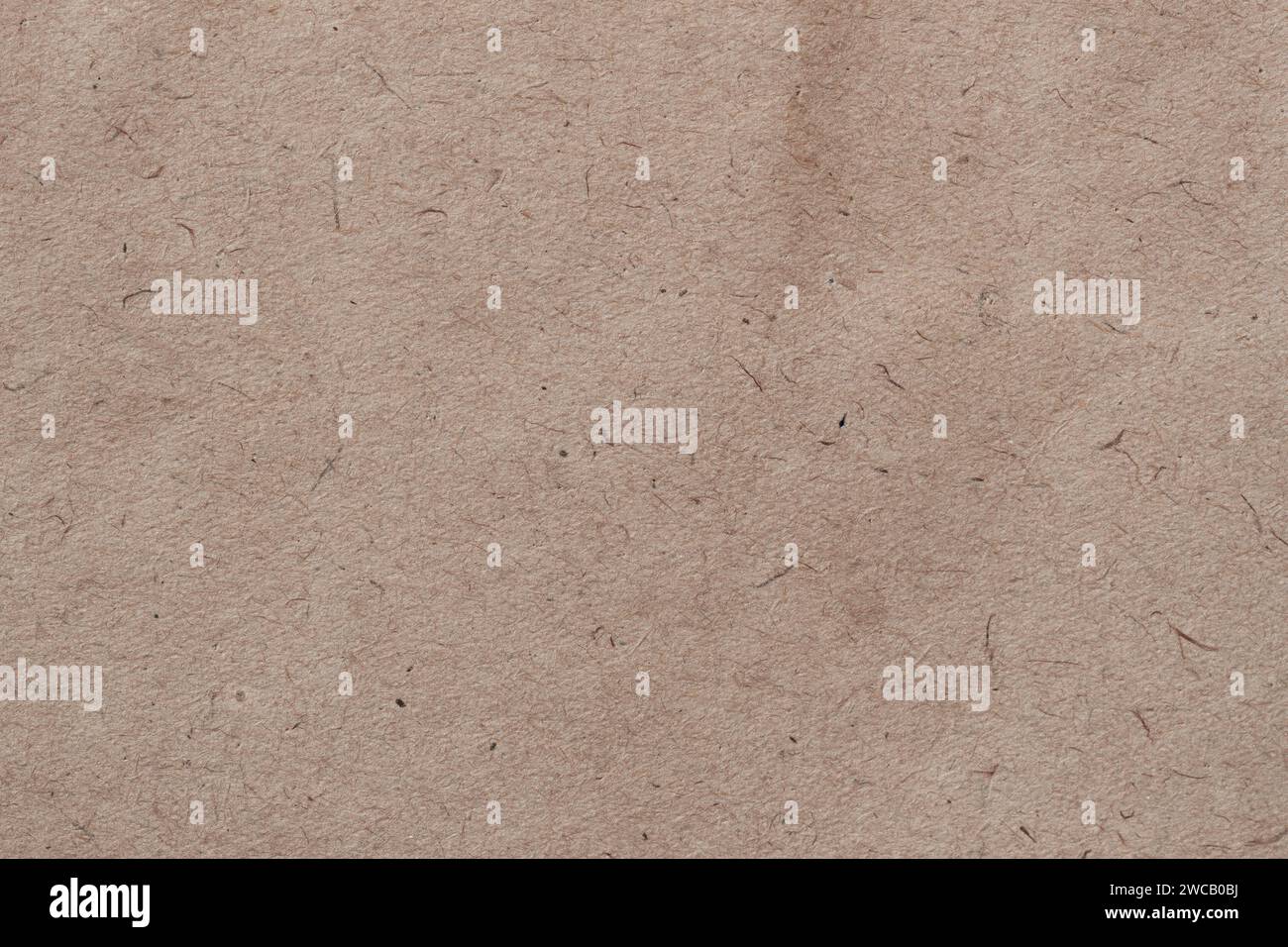 Paper texture cardboard background surface , inclusions of cellulose ...