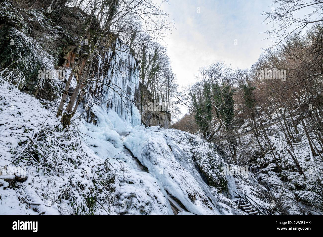 Jankovac, Hrvatska. 15th Jan, 2024. Winter idyll in Jankovac Forest ...
