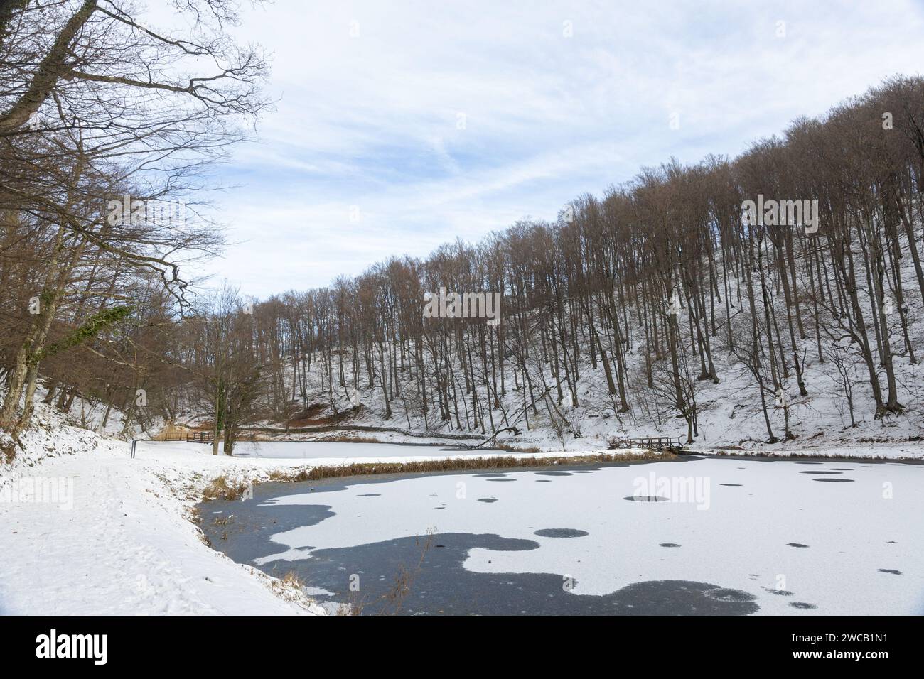 Jankovac, Hrvatska. 15th Jan, 2024. Winter idyll in Jankovac Forest ...