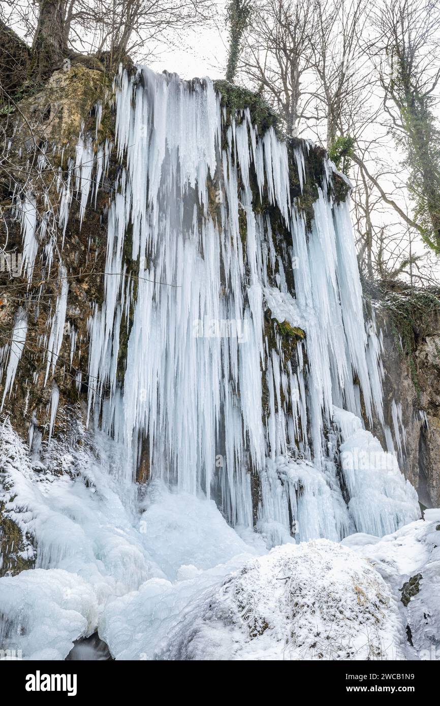 Jankovac, Hrvatska. 15th Jan, 2024. Winter idyll in Jankovac Forest ...