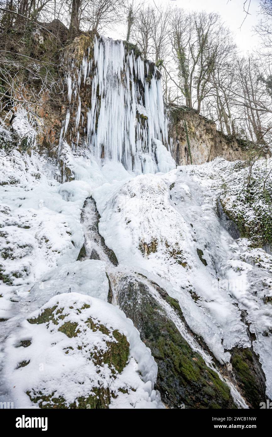 Jankovac, Hrvatska. 15th Jan, 2024. Winter idyll in Jankovac Forest ...