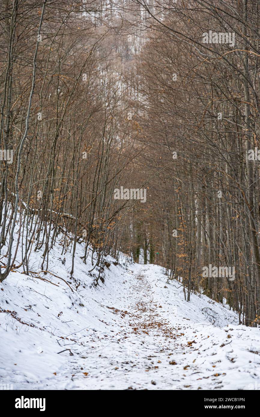 Naturism croatia Banque de photographies et d’images à haute résolution ...