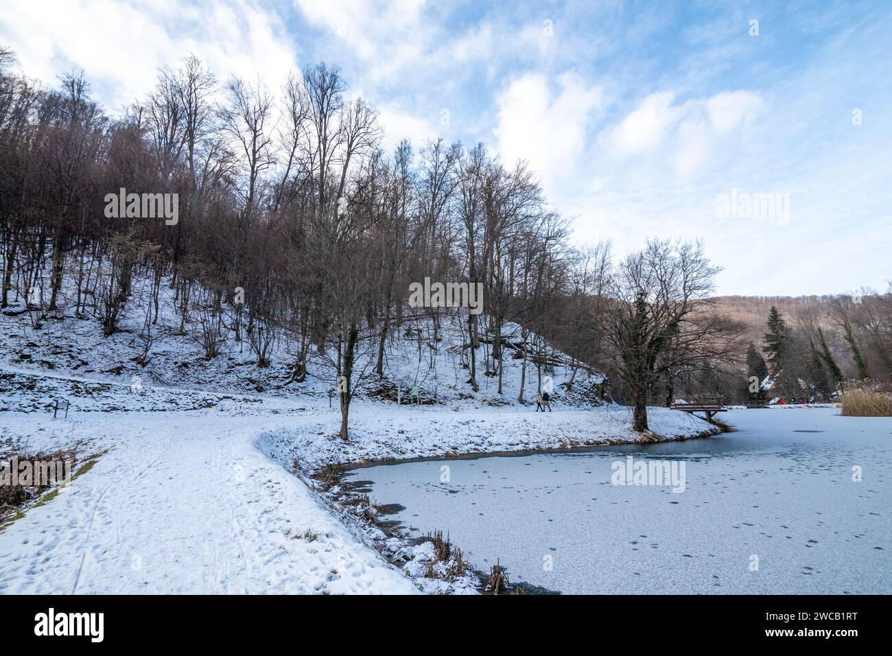 Jankovac, Hrvatska. 15th Jan, 2024. Winter idyll in Jankovac Forest ...