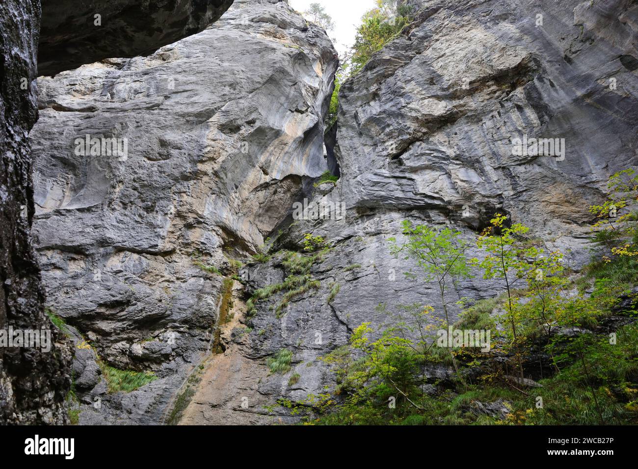 The Aare Gorge is a section of the river Aare tnear the town of ...