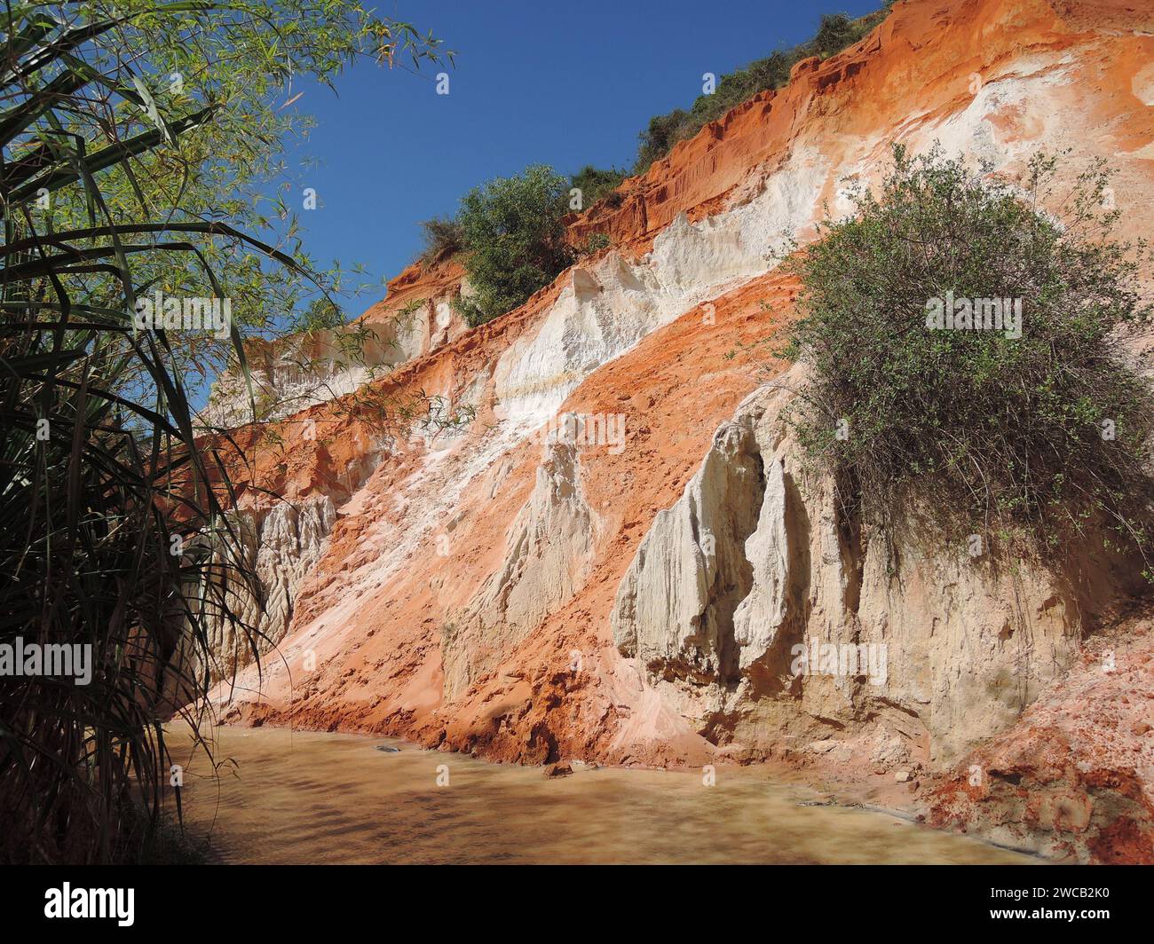 Fairy Stream Canyon,The muddy waters of the Fairy River(Suoi Tien ...