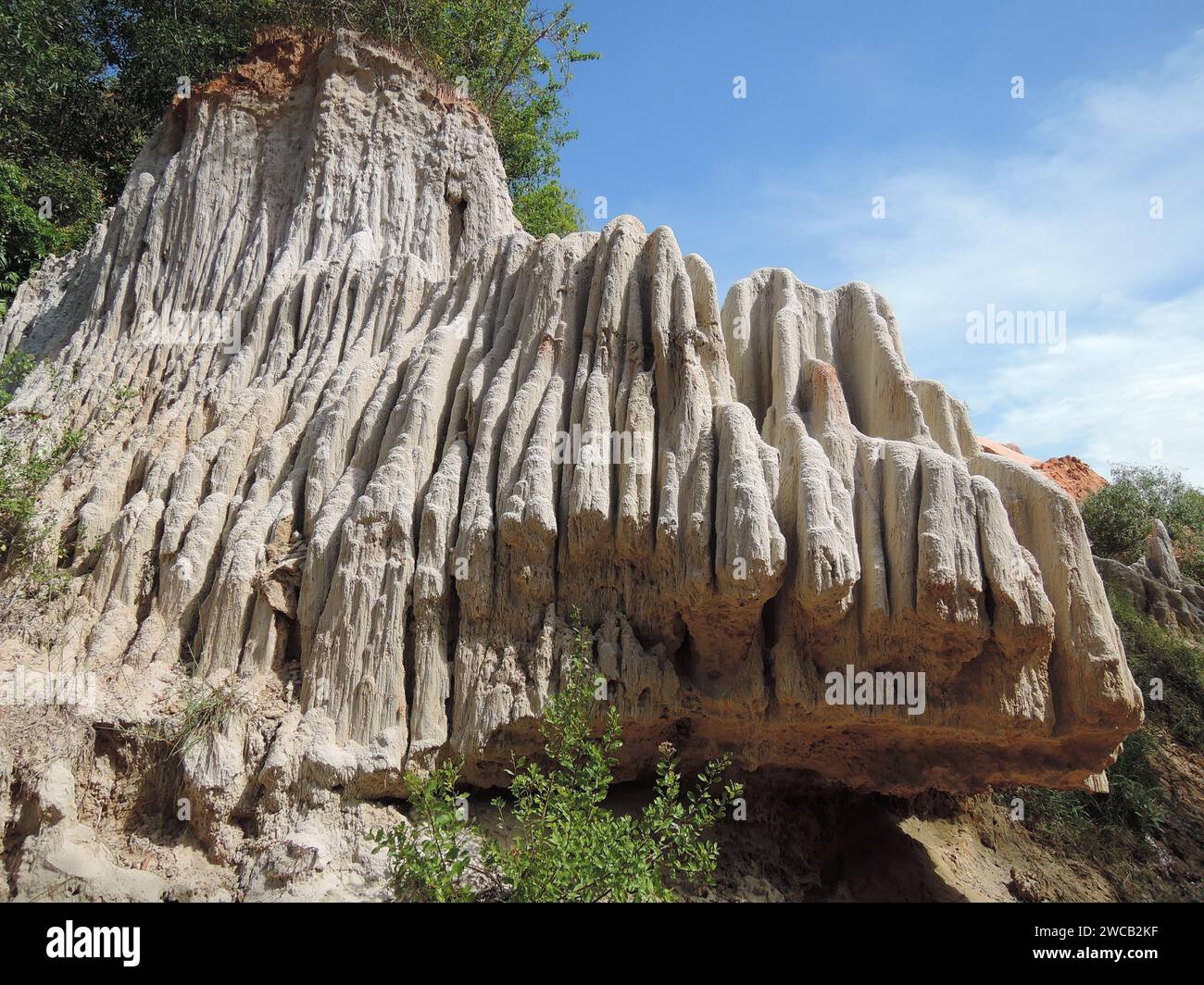 Fairy Stream Canyon,The muddy waters of the Fairy River(Suoi Tien ...
