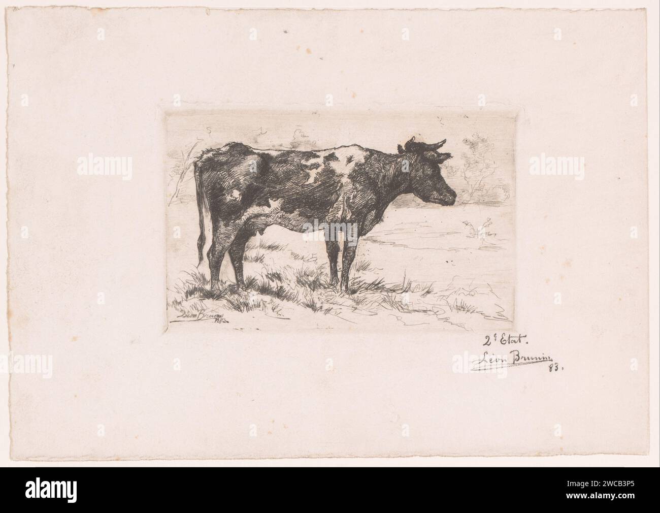 Cow on the edge of the water, Léon Brunin, 1883 print paper etching cow ...