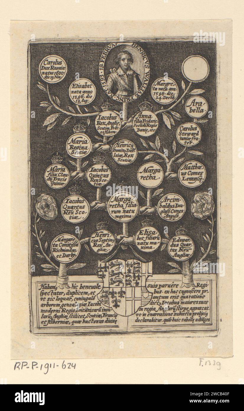 Stuart family tree hi-res stock photography and images - Alamy