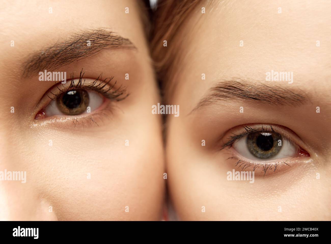 Well groomed eyebrows hi-res stock photography and images - Alamy