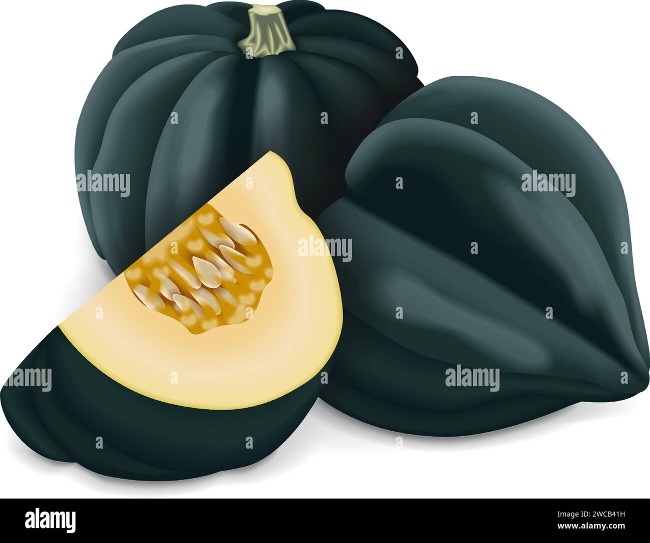 Whole and chopped Acorn squash or Honey bear squash. Tuffy squash ...