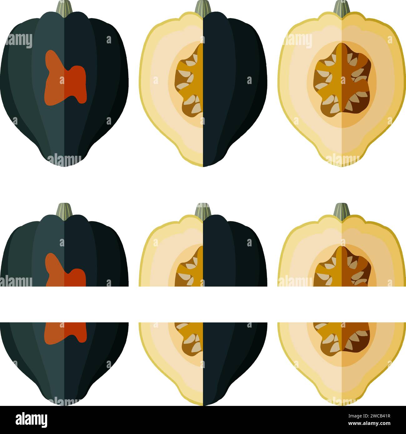 Set of Acorn squash or Honey bear squash. Tuffy squash. Winter squash ...