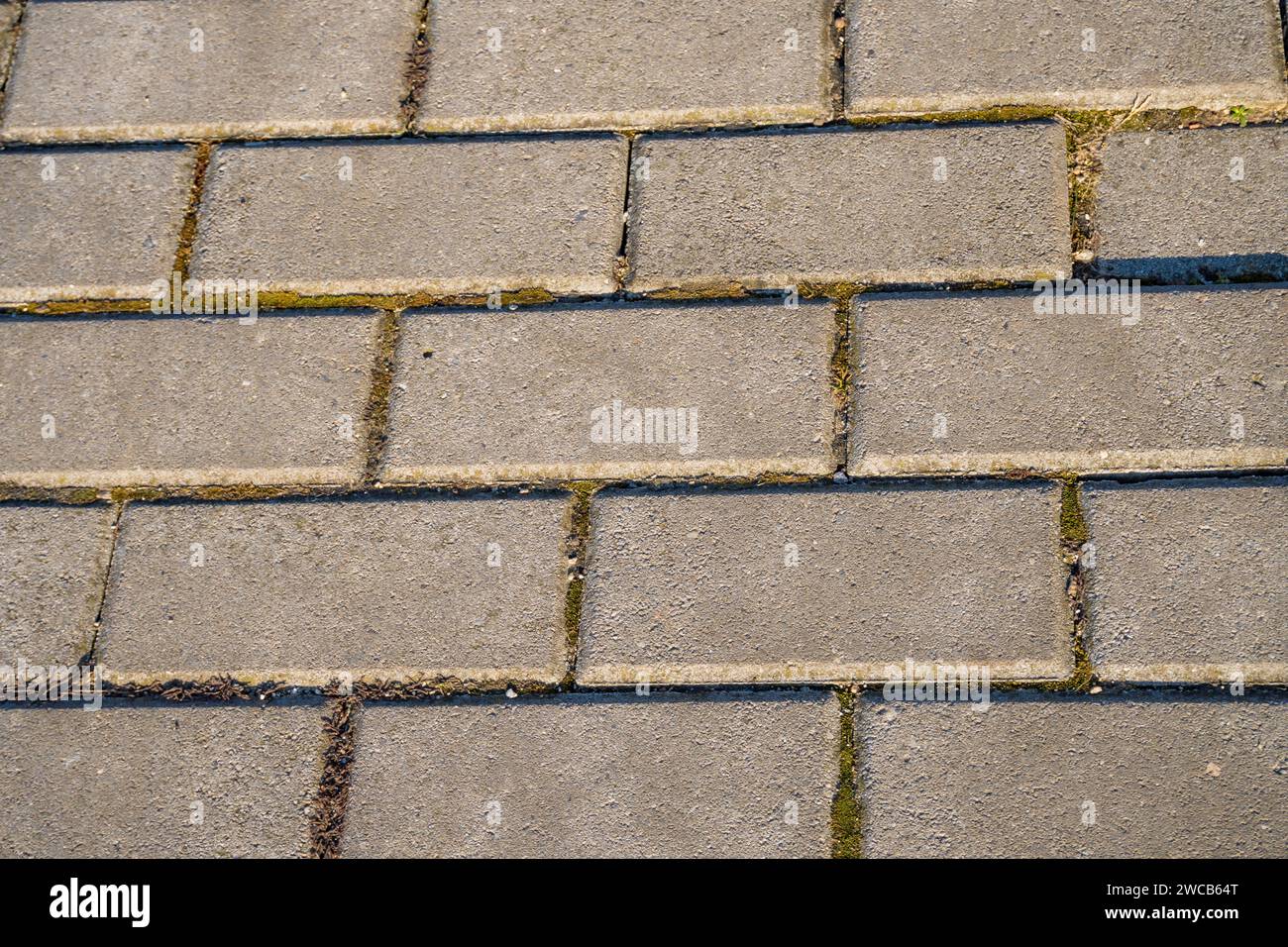 Grey brick pavement background close up. Gray stone tile block ...