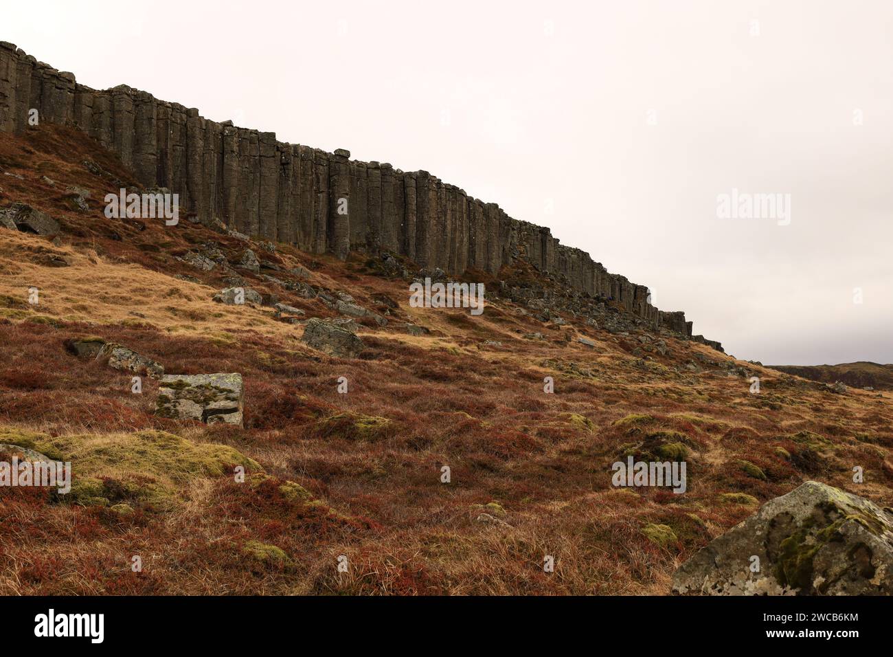Gerðuberg is a cliff of dolerite, a coarse-grained basalt rock, located ...