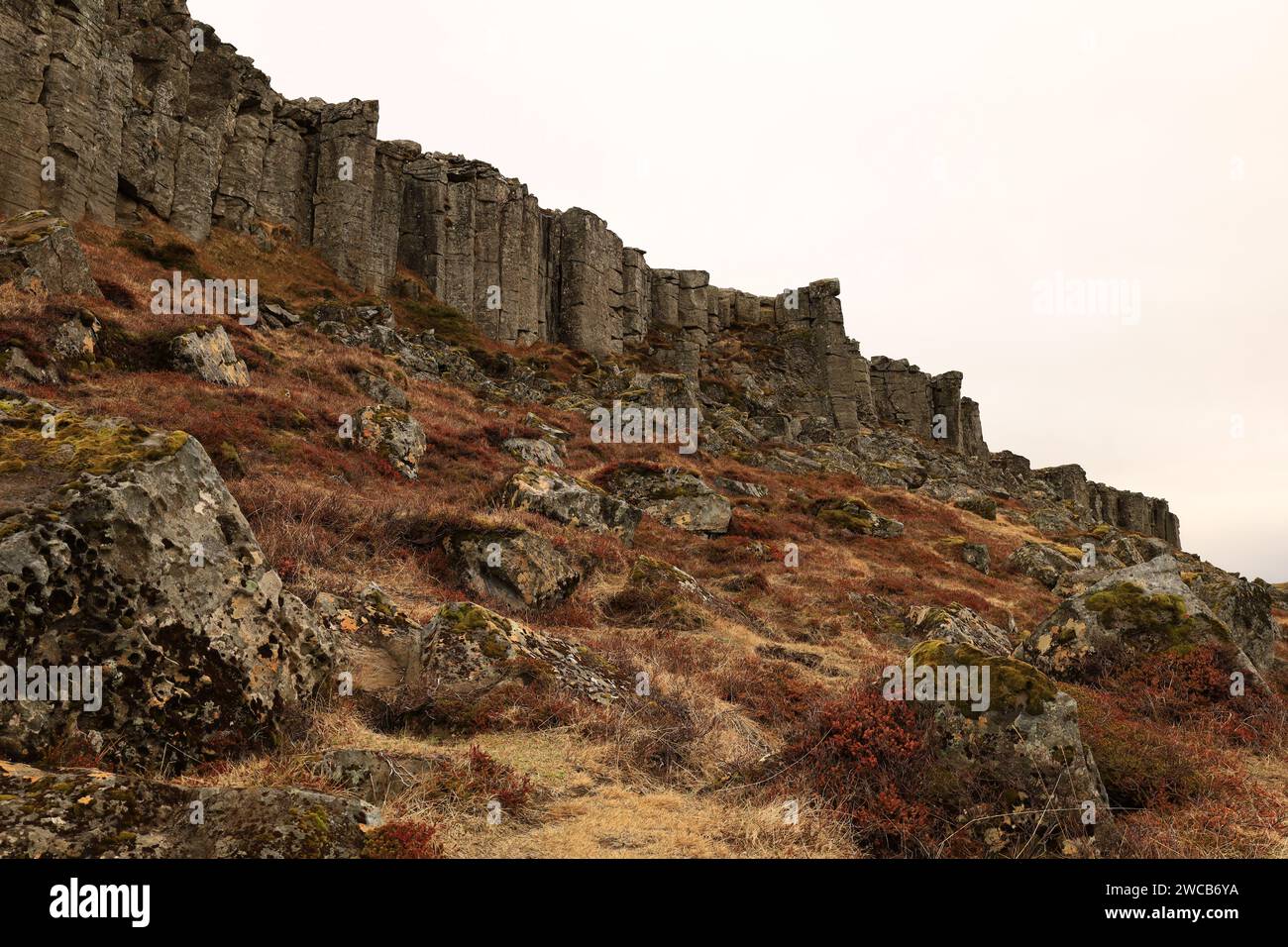 Gerðuberg is a cliff of dolerite, a coarse-grained basalt rock, located ...