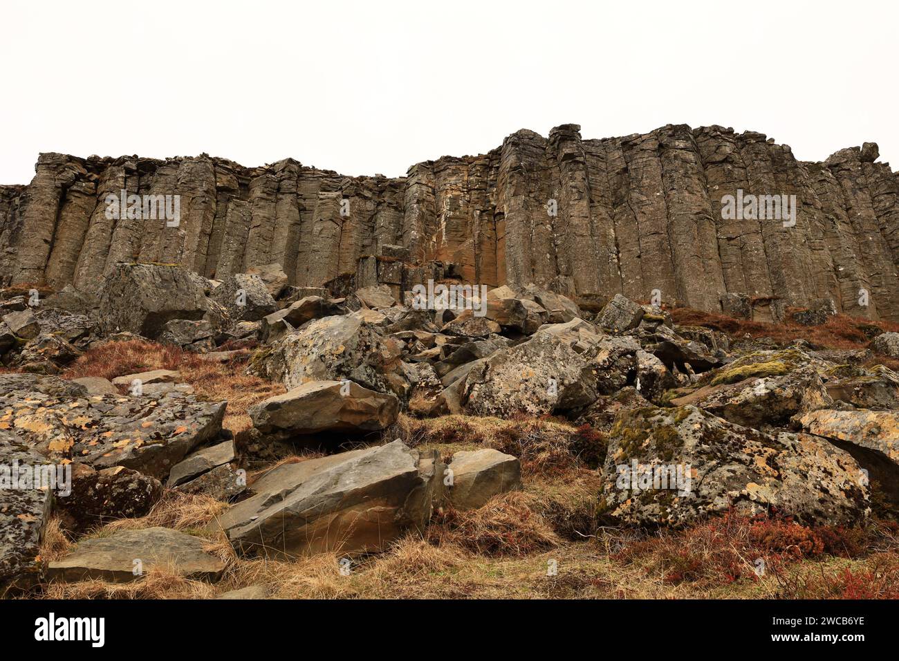 Gerðuberg is a cliff of dolerite, a coarse-grained basalt rock, located ...