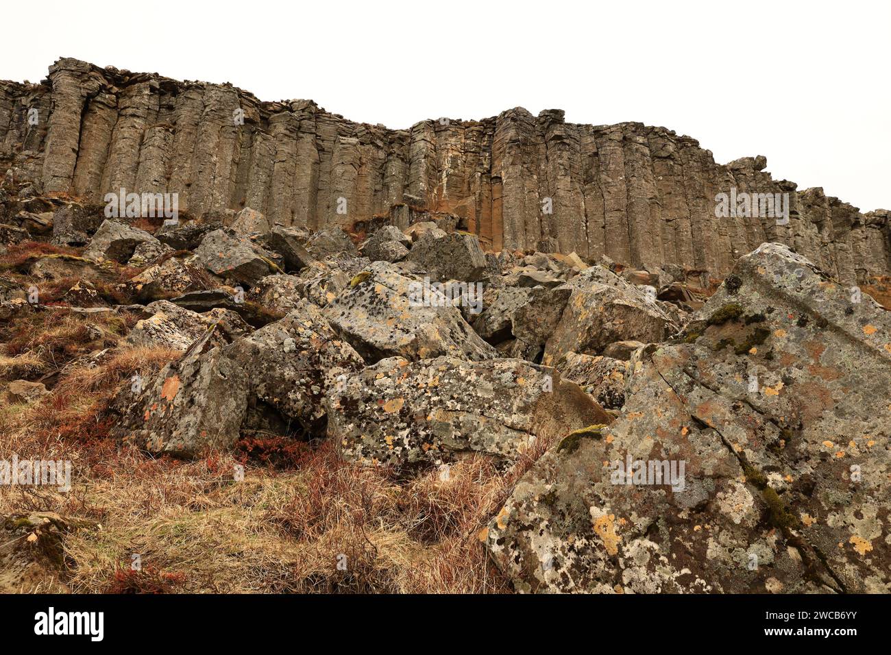 Gerðuberg is a cliff of dolerite, a coarse-grained basalt rock, located ...