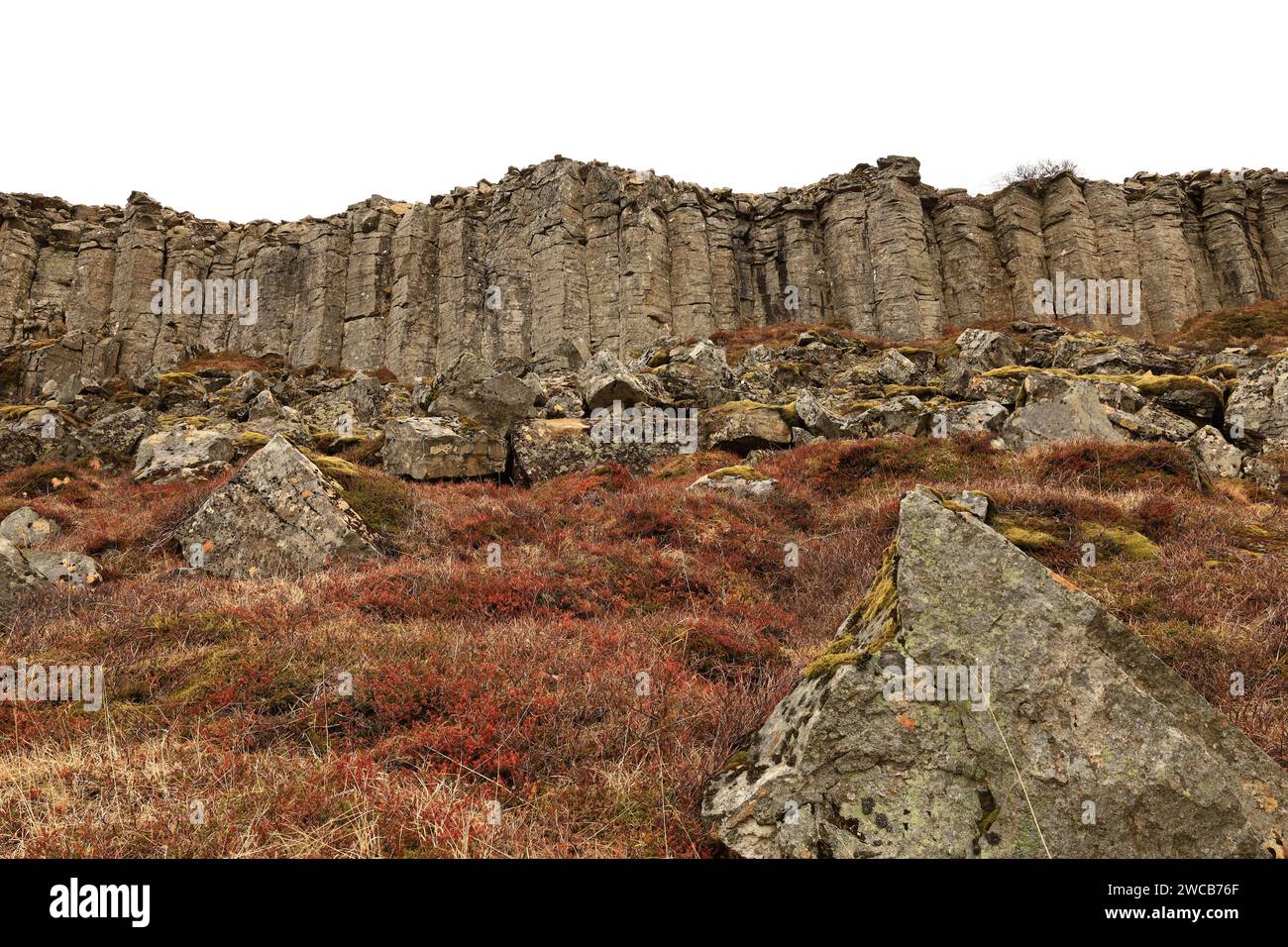 Gerðuberg is a cliff of dolerite, a coarse-grained basalt rock, located ...