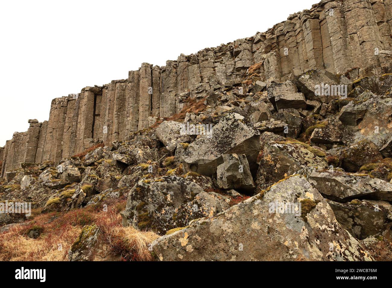 Gerðuberg is a cliff of dolerite, a coarse-grained basalt rock, located ...