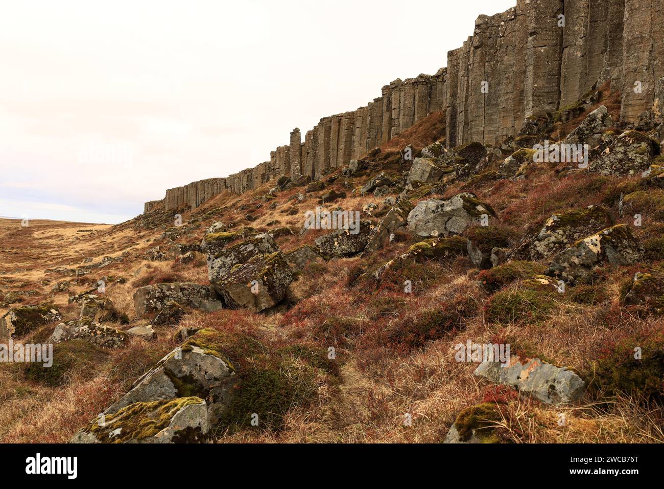 Gerðuberg is a cliff of dolerite, a coarse-grained basalt rock, located ...