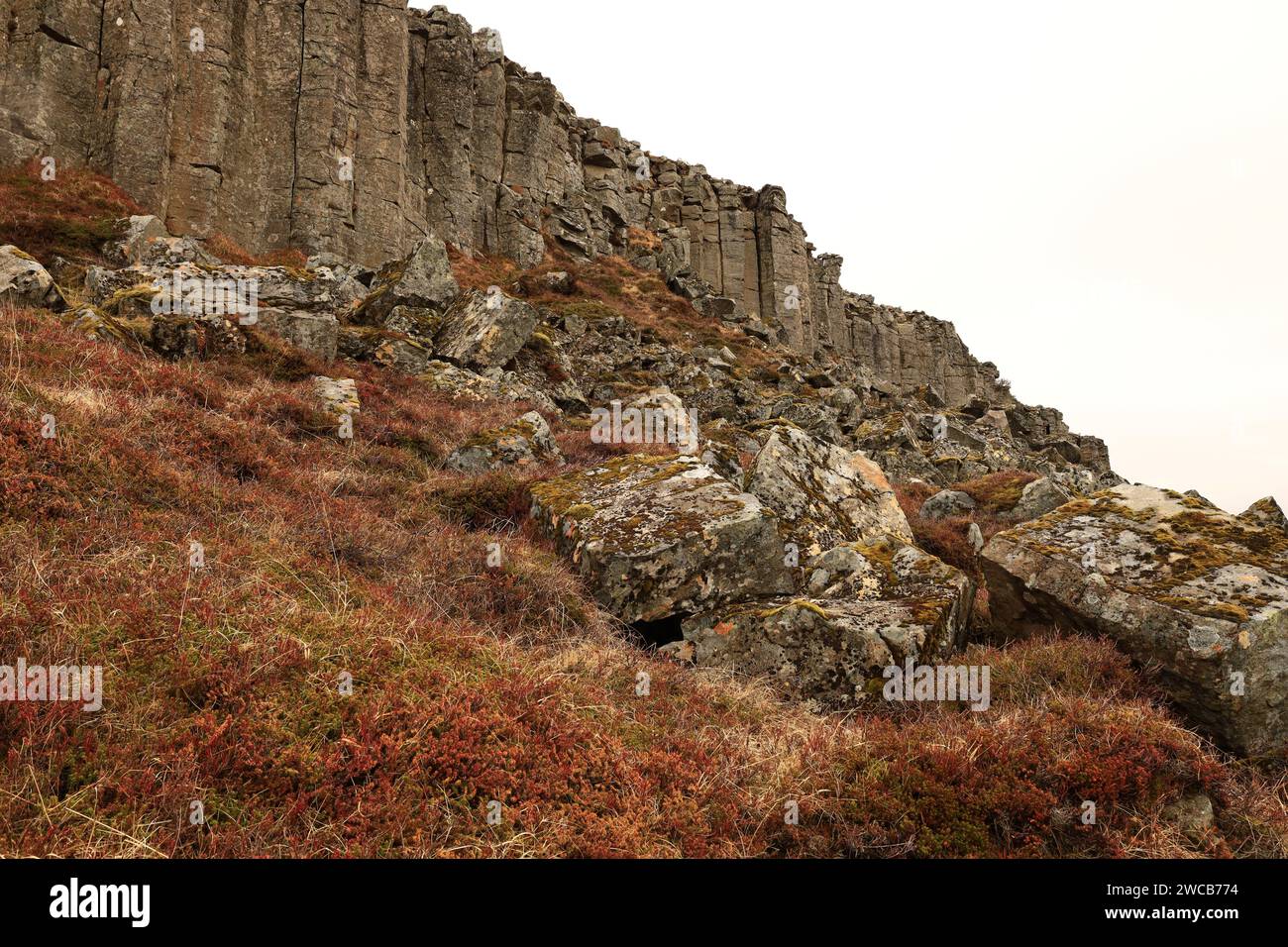 Gerðuberg is a cliff of dolerite, a coarse-grained basalt rock, located ...